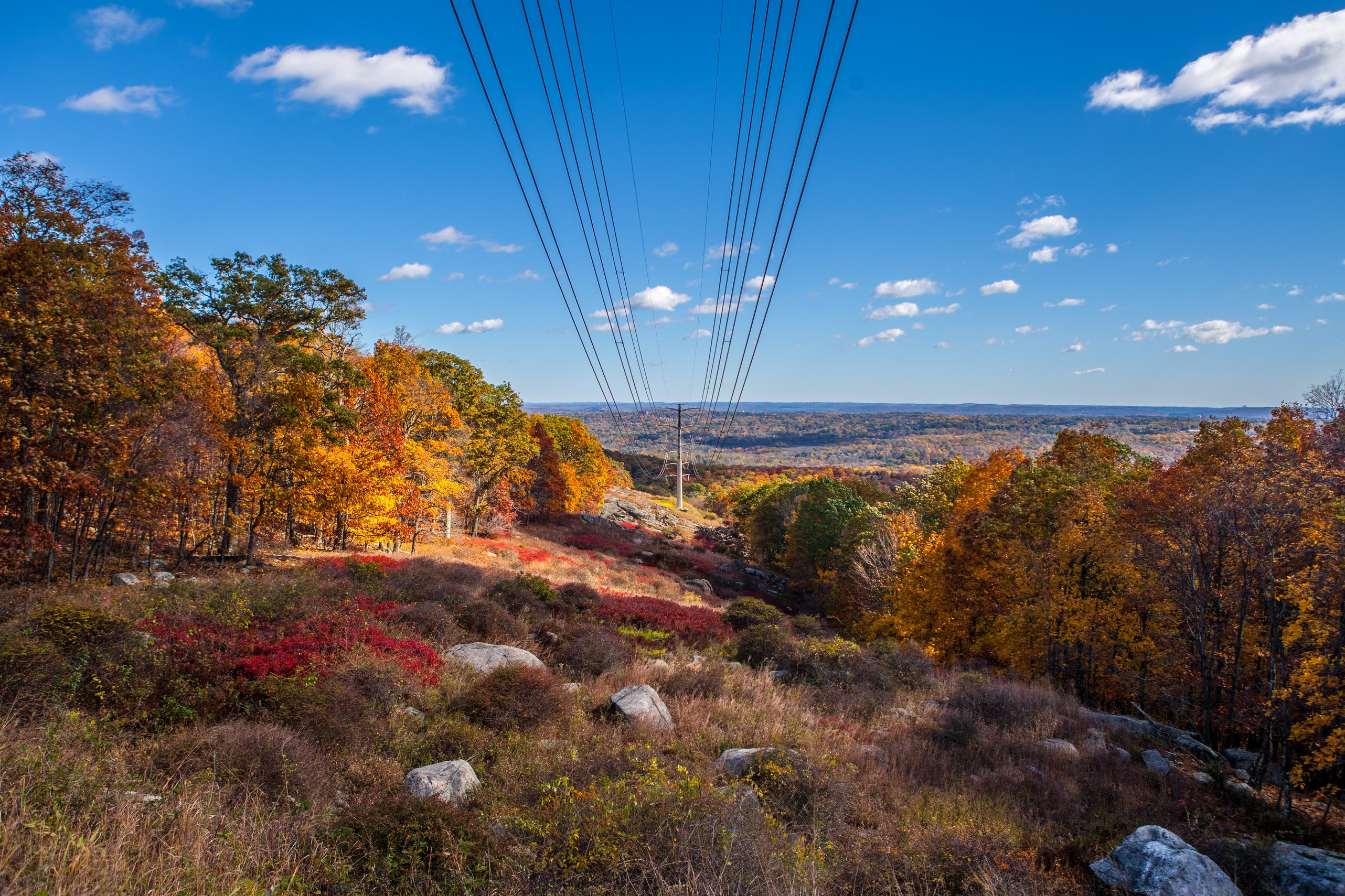 ERCOT and ISO-NE Introducing Energy Market Co-Optimization in 2025 ...